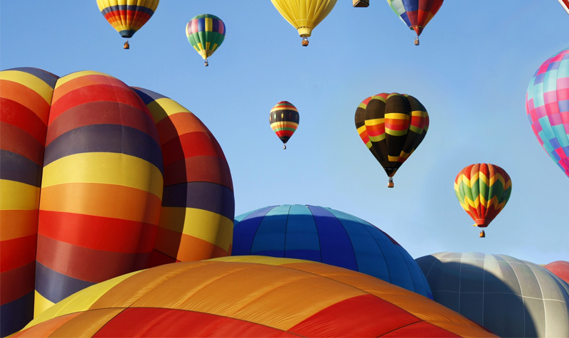 Partner Letitia Johnson Joins Singleton Schreiber | Singleton Schreiber