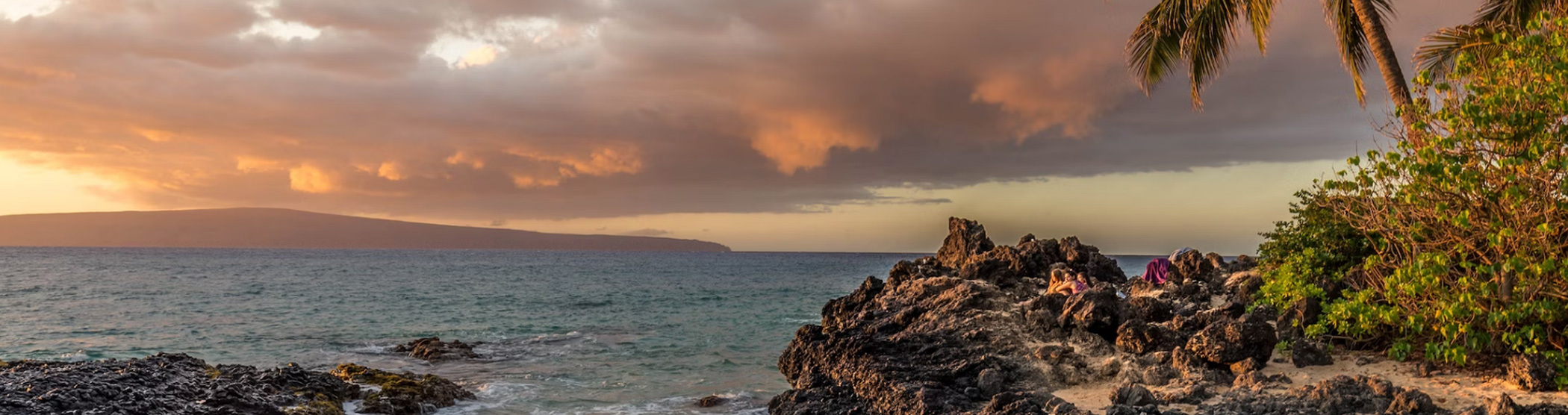 Singleton Schreiber is Hosting a Virtual Town Hall: Support and ...