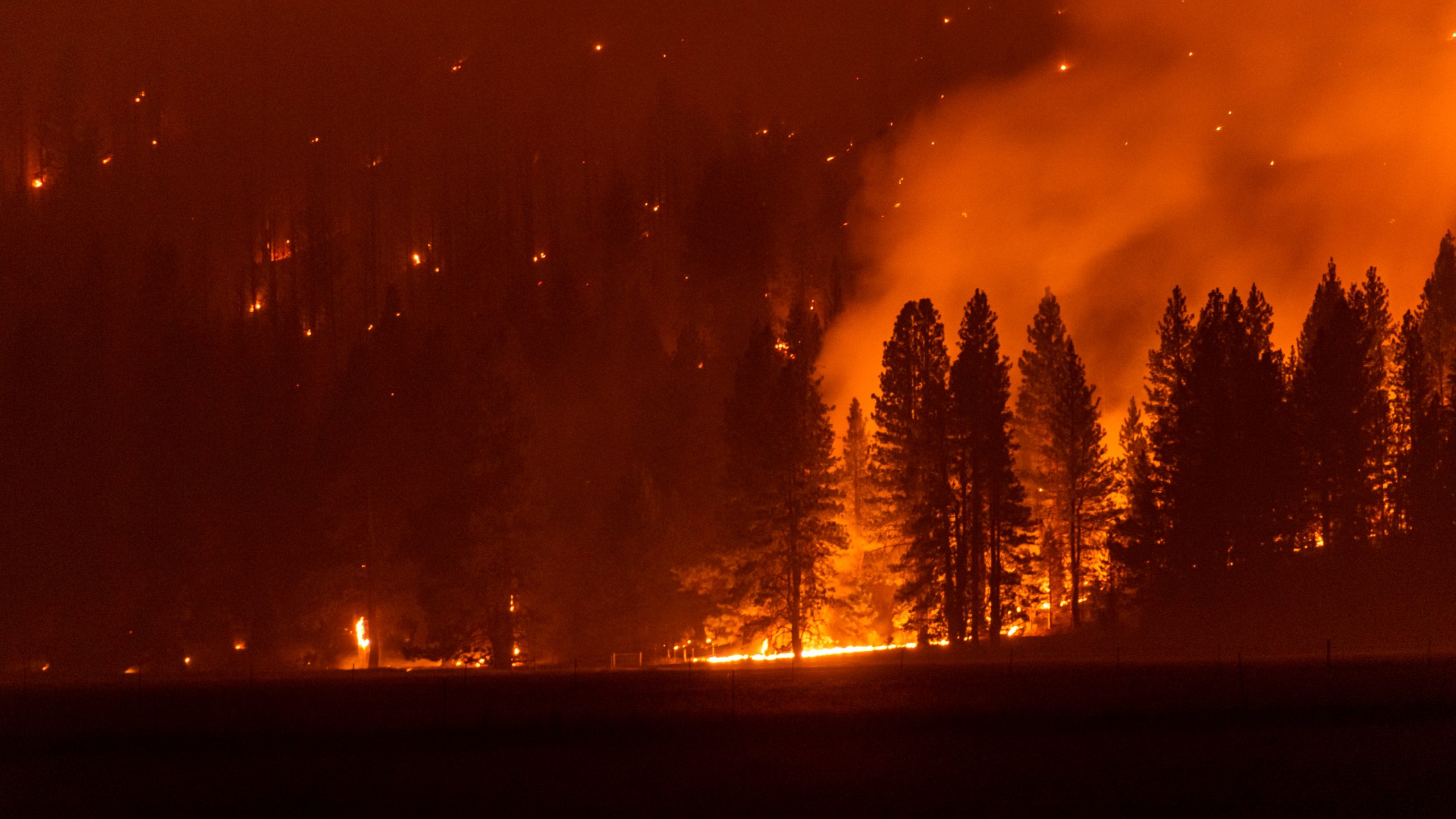The Largest, Deadliest, and Costliest Wildfires in U.S. History ...